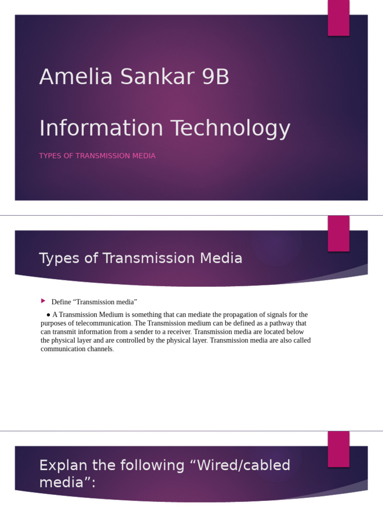Information Technology Assignment | PDF