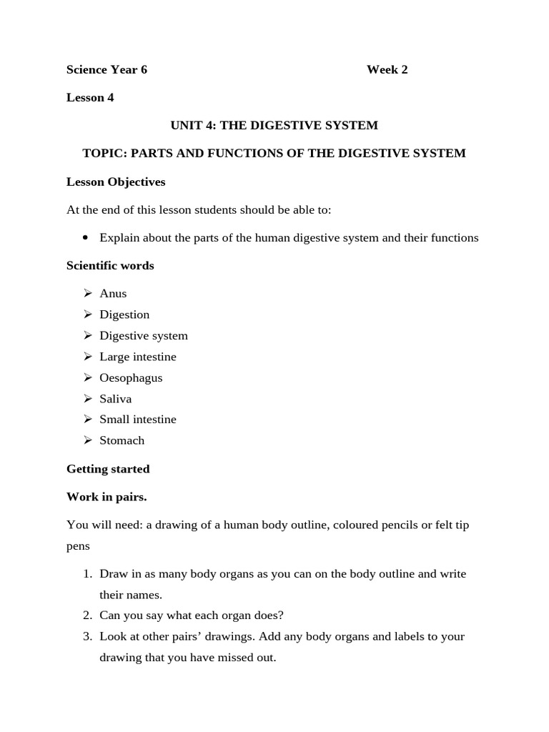 WEEK 2 LESSON 4 | PDF