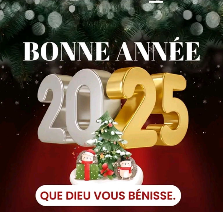 PDF Phoenix 20250106 202225 | PDF