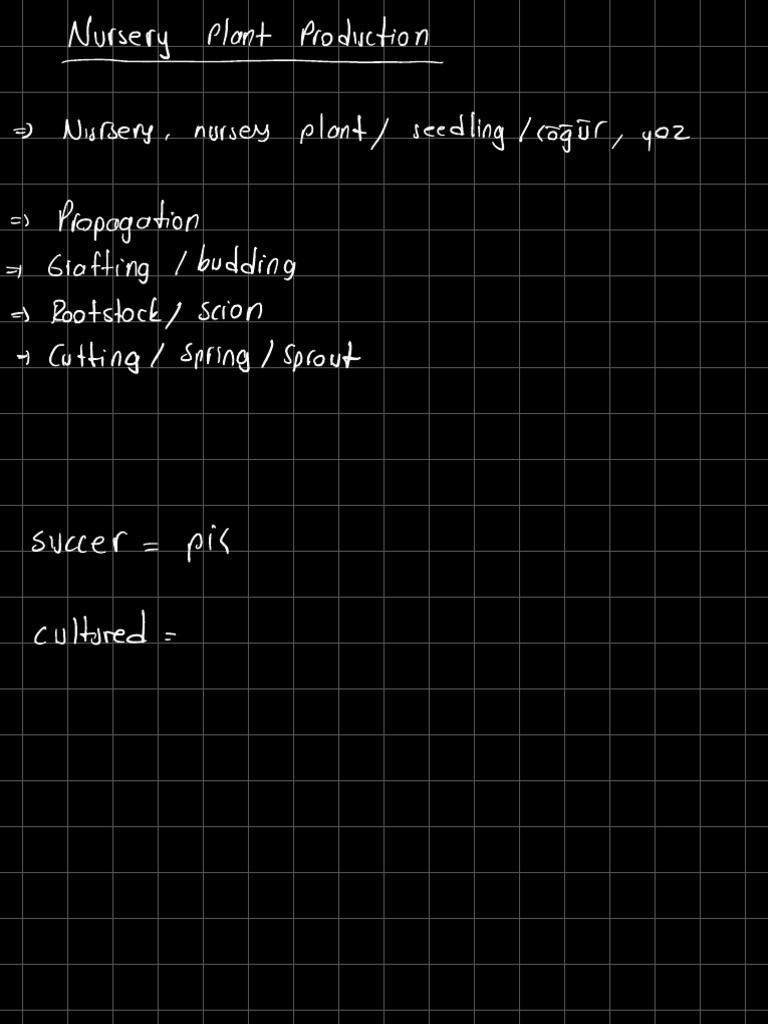 Not 22 Şub 2024 | PDF