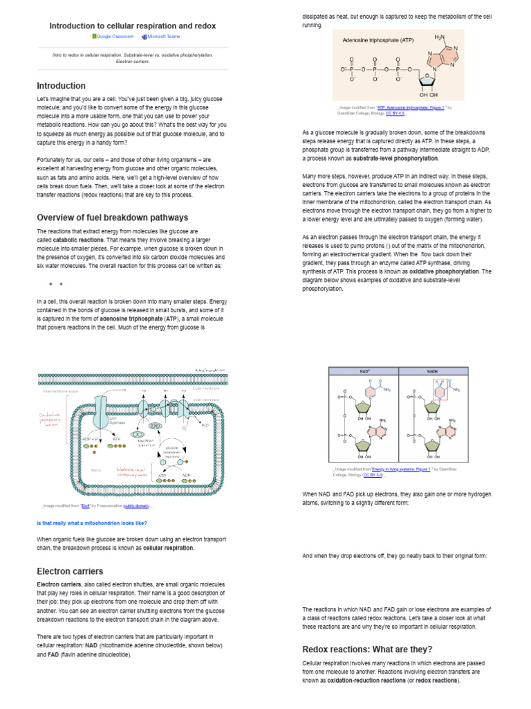 Introduction To Cellular Respiration and Redox (Article) - Khan Academy ...