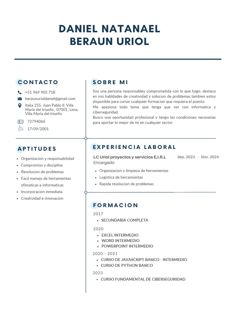 CV Daniel Beraun-1 | PDF