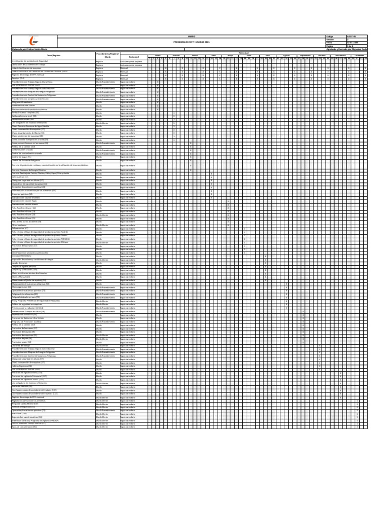 A-SST-01 Programa de SST y Capacitaciones 2024 | PDF