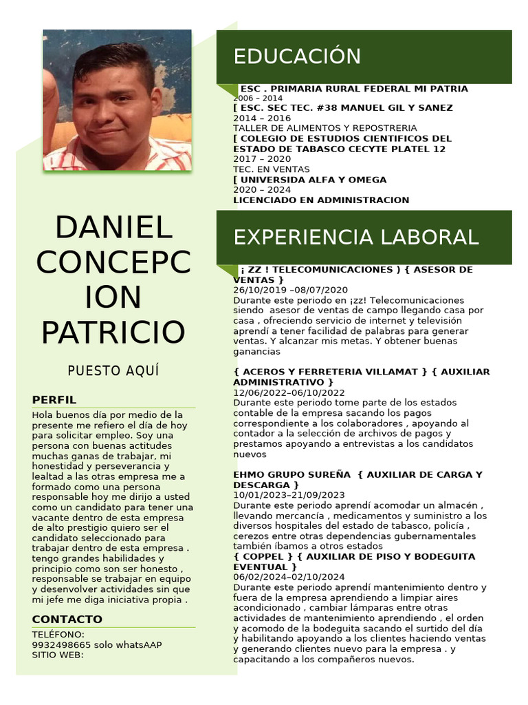 curriculum Daniel Concepcion Patricio .docx 2 | PDF