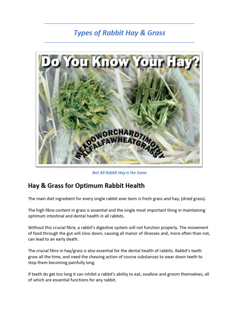Types of Rabbit Hay(0) | PDF | Hay | Alfalfa