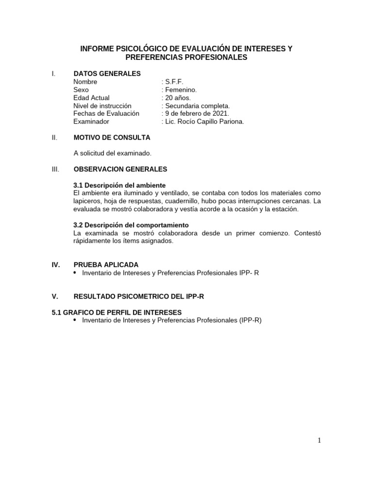 Informe Ipp Modelo | PDF | Business | Turismo