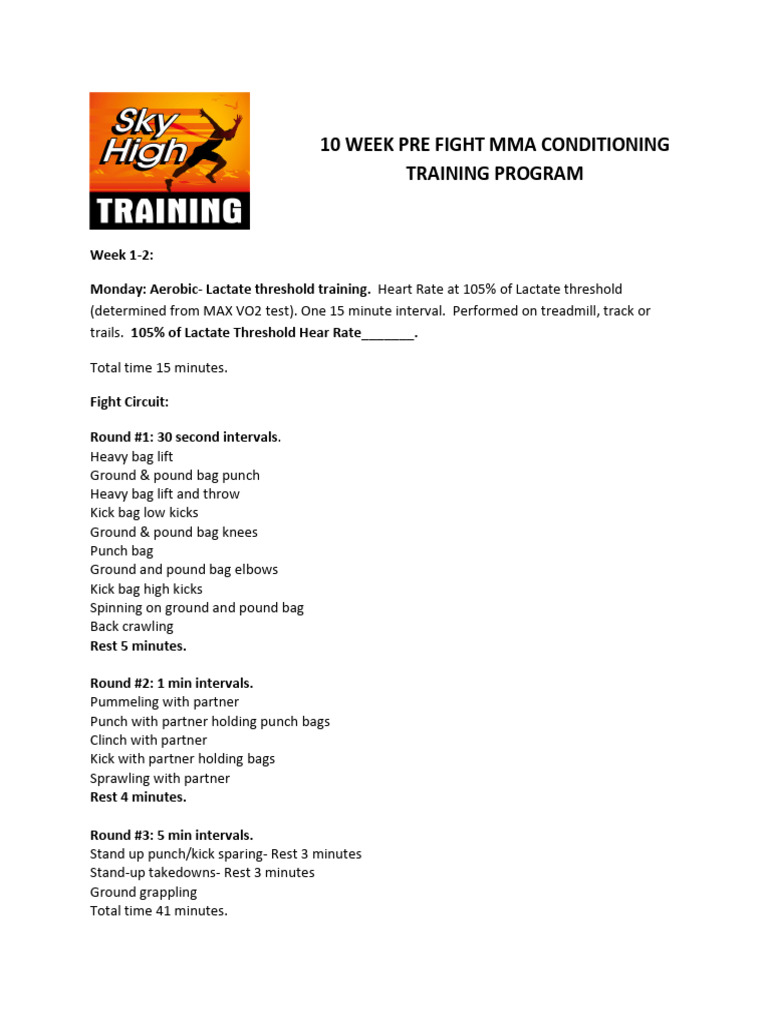 10 Week Mma Training Program at Sky High | PDF | Mixed Martial Arts ...