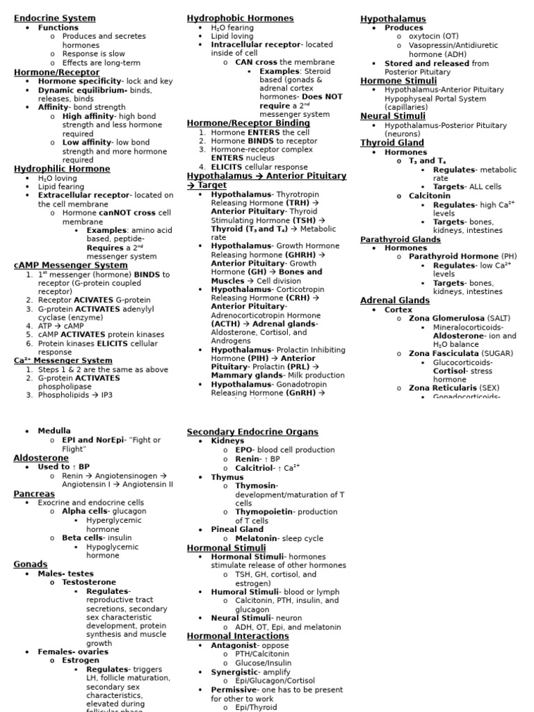Unit 1 Endocrine System Class Notes | PDF | Hormone ...