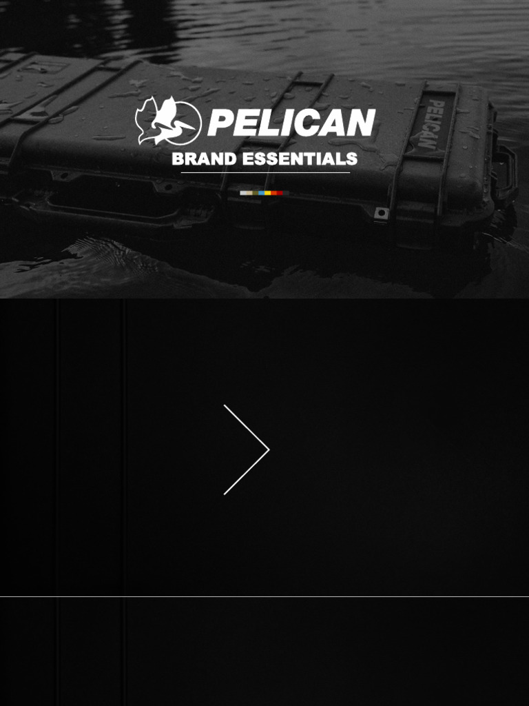 Brand Essentials | PDF | Typography | Brand