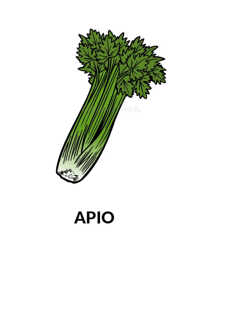 APIO | PDF