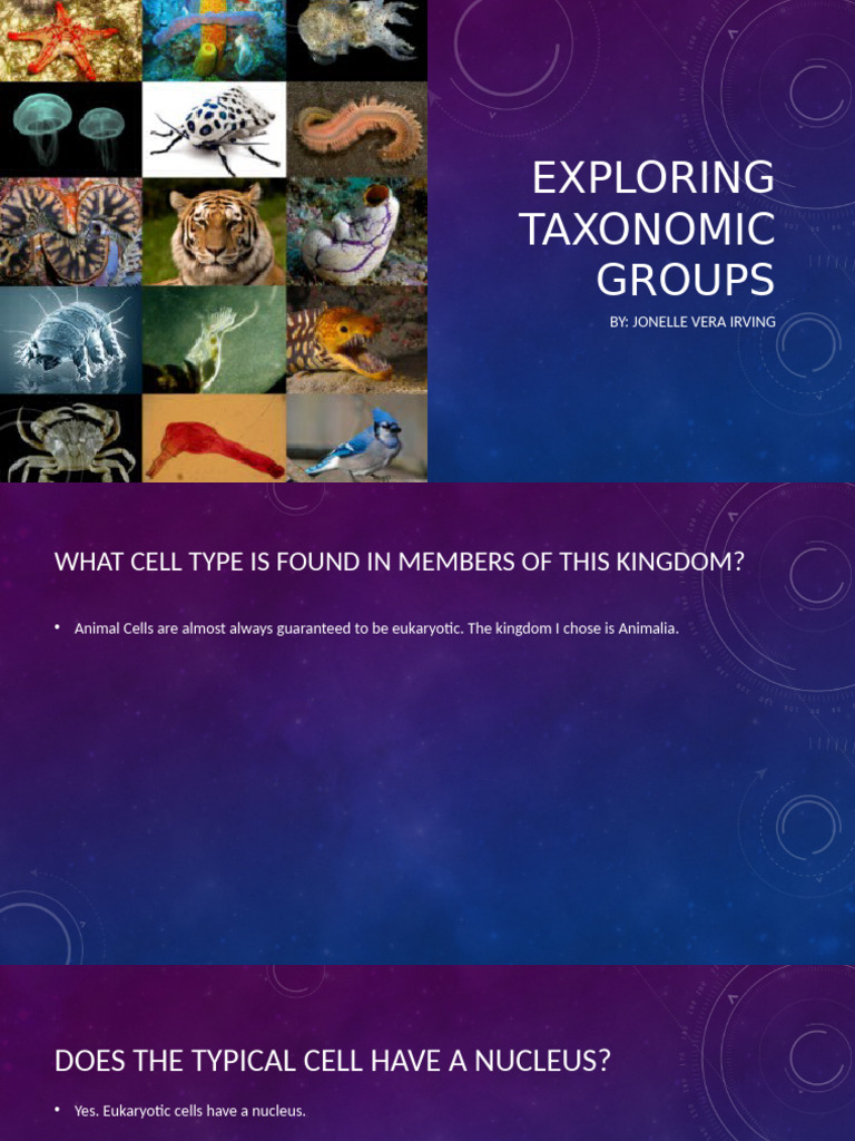 Taxonomic Classification of Animalia Species | PDF | Cell (Biology ...