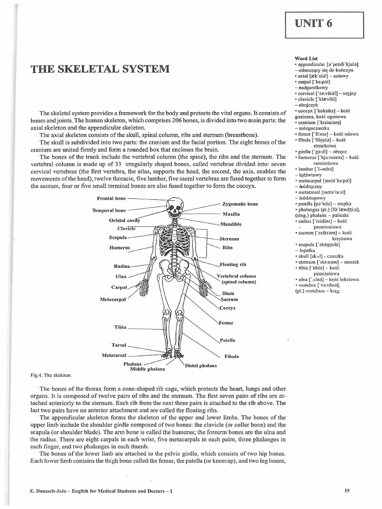 Skeletal Syst 1 | PDF