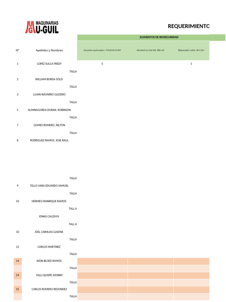 Formato de Requerimiento de Epp - Agosto Corihuarmi | PDF | Ropa | Moda