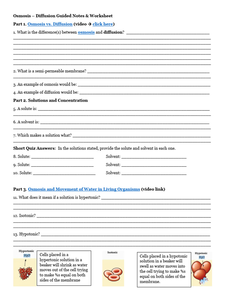 Osmosis-Diffusion - Guided - Notes Worksheet | PDF | Osmosis ...