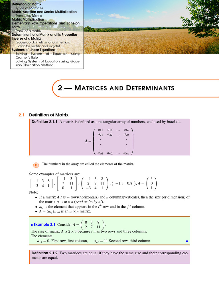 App Mathematics I Chapter 2 | PDF | Matrix (Mathematics) | Determinant