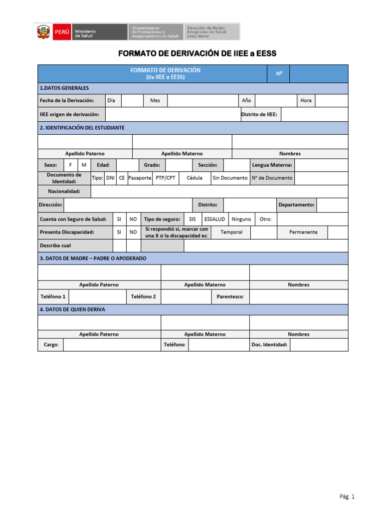 FORMATO DE DERIVACIÃ - N DE IIEE A EESS - APROBADO | PDF | Control de la natalidad | Documento ...
