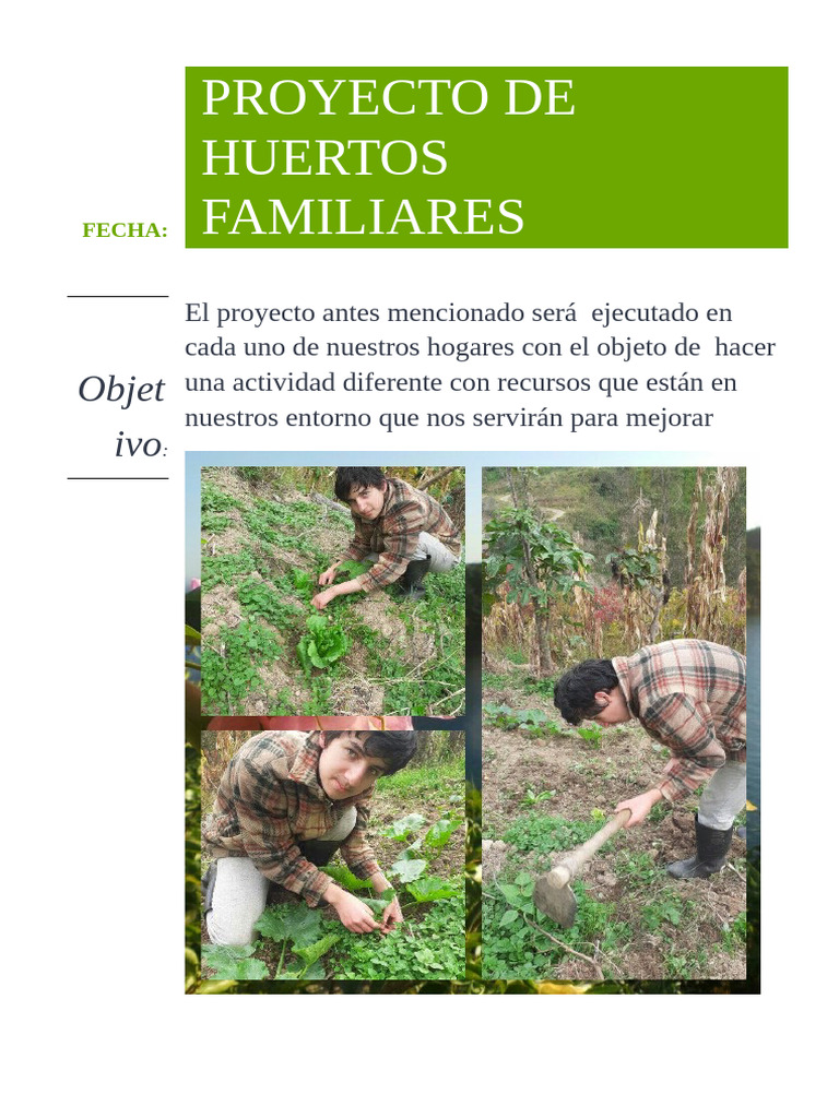 Documento (1) (2) | PDF