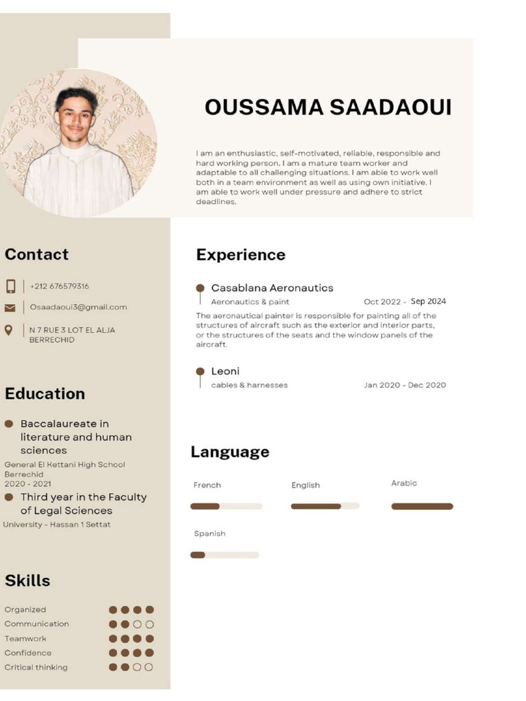 Oussama - CV.PDF 20240905 003118 0000 Compressed | PDF