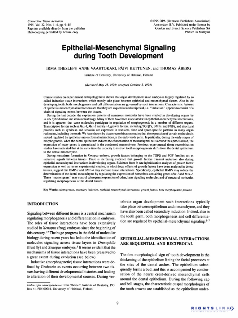 Epithelial Mesenchymal Signaling During Tooth Development | PDF ...