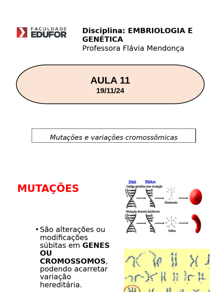 MUTAGÊNESE | PDF | Mutação | Cromossomo