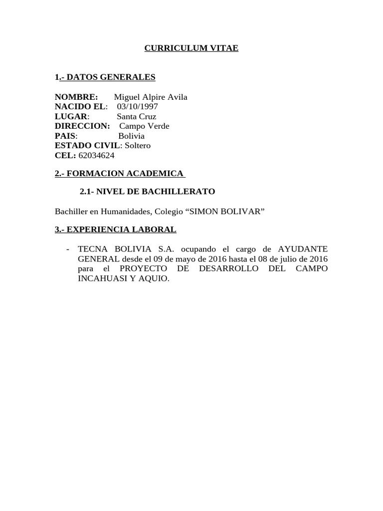 Curriculum Miguel | PDF