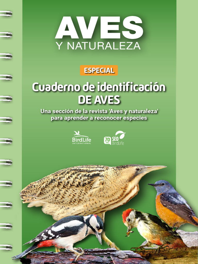 Cuaderno de Identificación de Aves | PDF | Aves | Ornitología