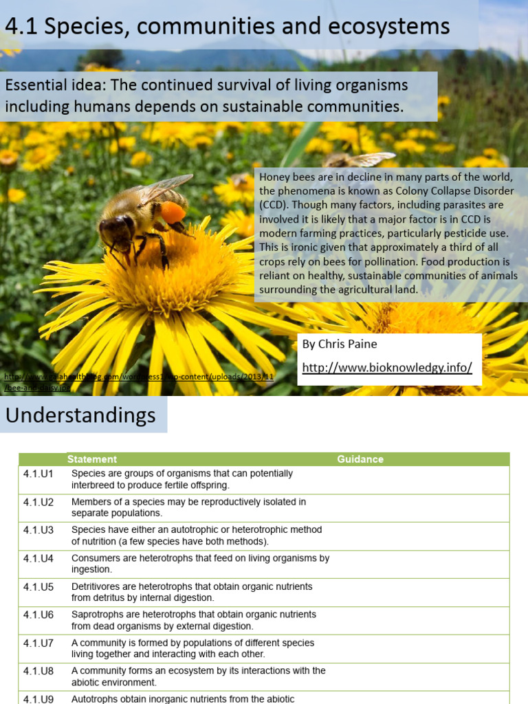 BioK 4.1 Species Communities and Ecosystems | PDF | Chi Squared Test