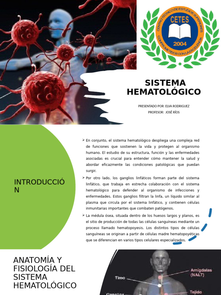 Sistema Hematologico | PDF | Sangre | Sistema linfático