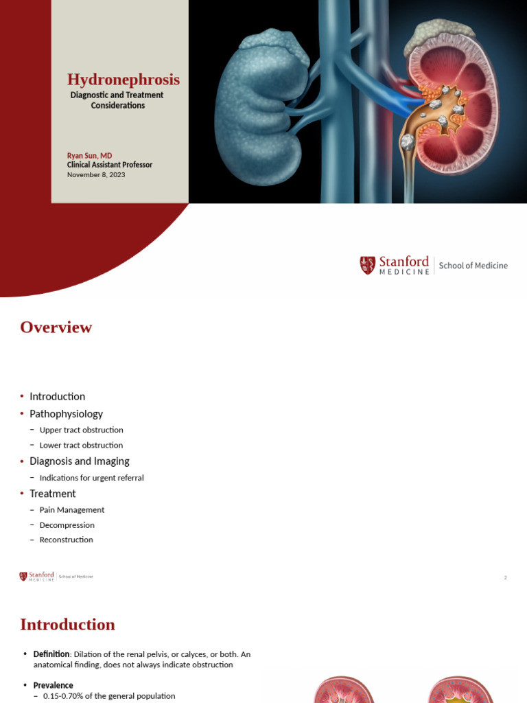 Hydronephrosis Talk 11-2023 | PDF | Clinical Medicine | Urology