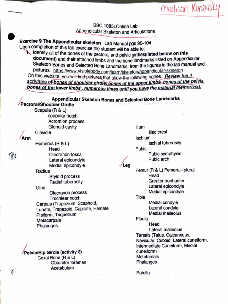 Appendicular Skeleton Lab | PDF | Skeleton | Musculoskeletal System