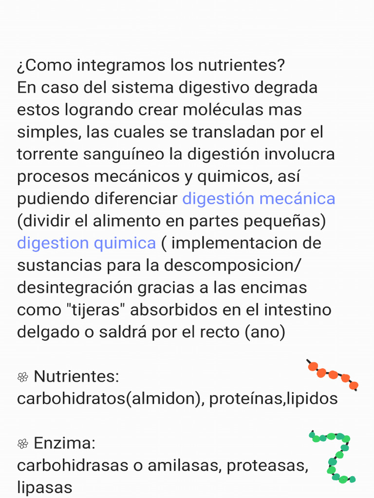 Wazaa | PDF