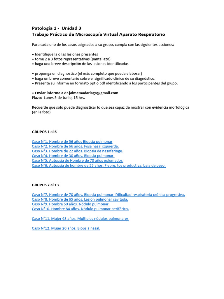 Practico Micro Pato 1 Unidad 3 | PDF