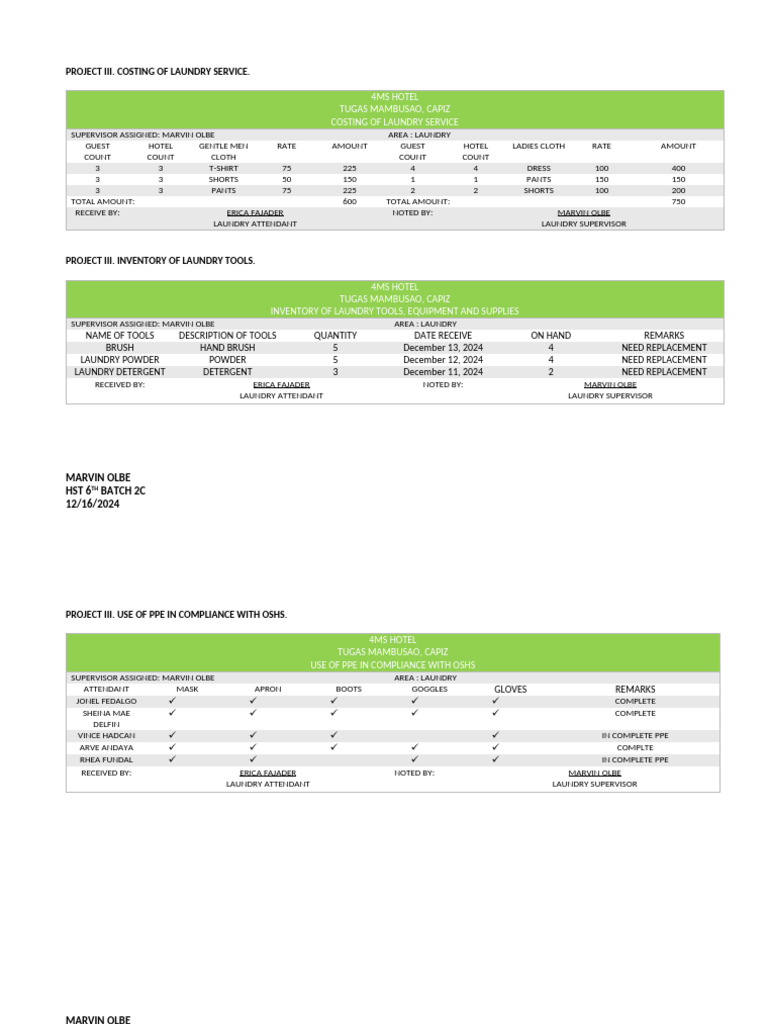 Project Mo 083058 | PDF | Laundry | Domestic Life