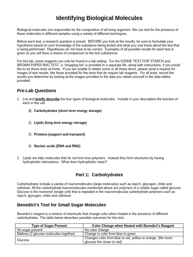Biological+Molecules copy | PDF | Proteins | Peptide