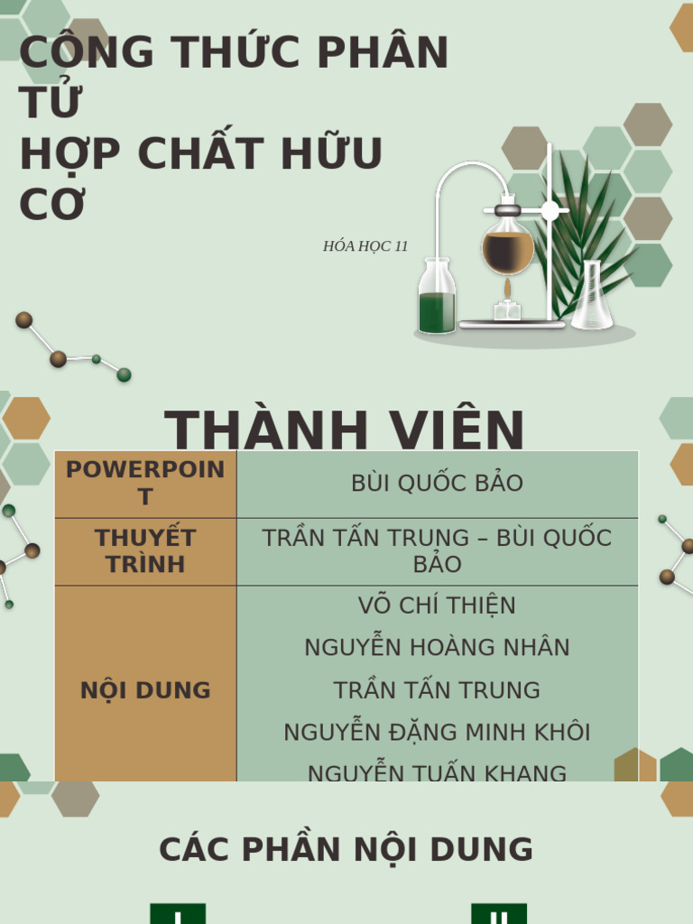 Thuyet Trinh Hoa Bai 12 | PDF