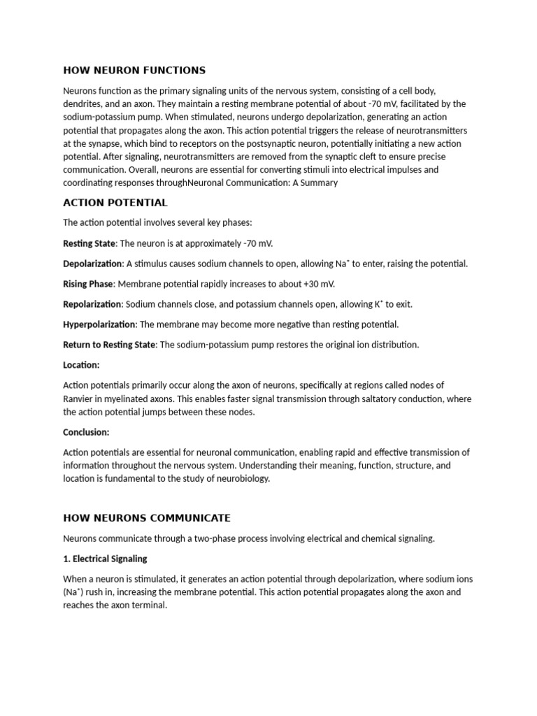 Anaphy Report Neuron | PDF | Action Potential | Neuron