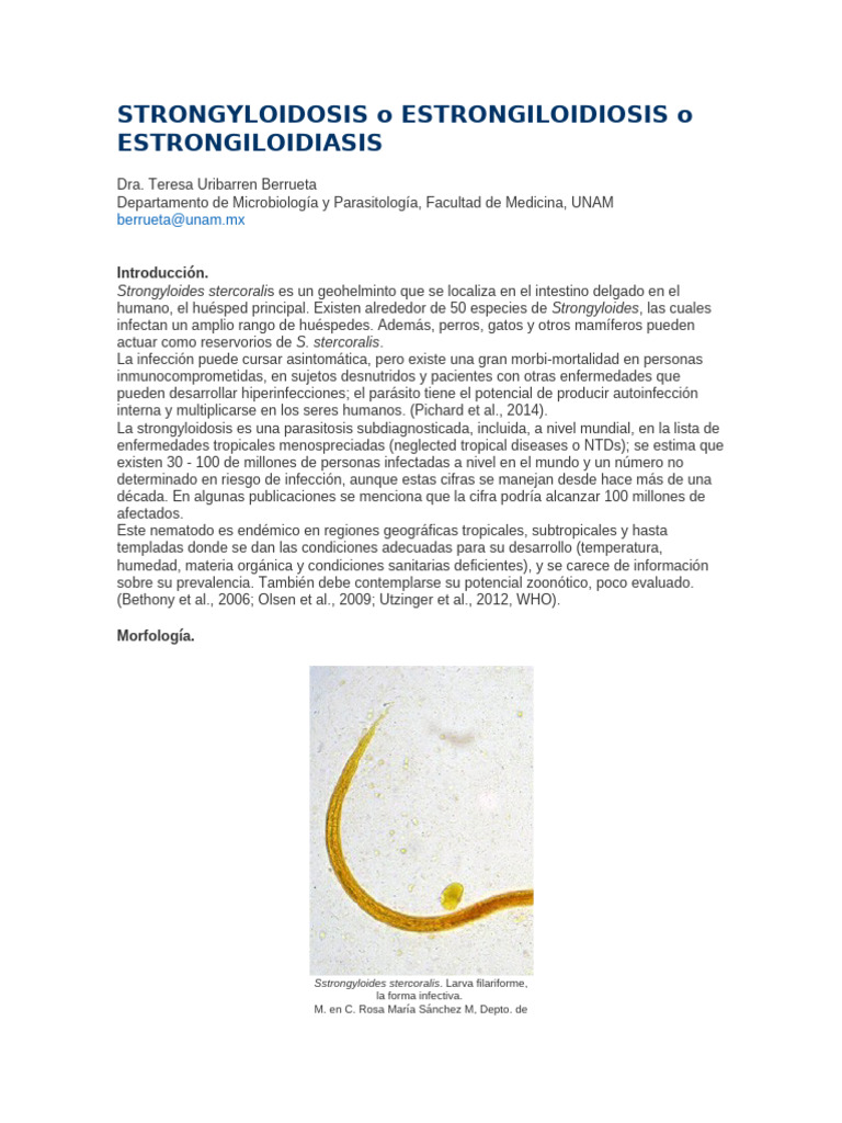 Strongyloidosis o Estrongiloidiosis o Estrongiloidiasis | PDF | Diarrea ...