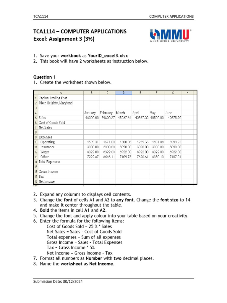 Excel Assignment: Net Income & Bonus | PDF
