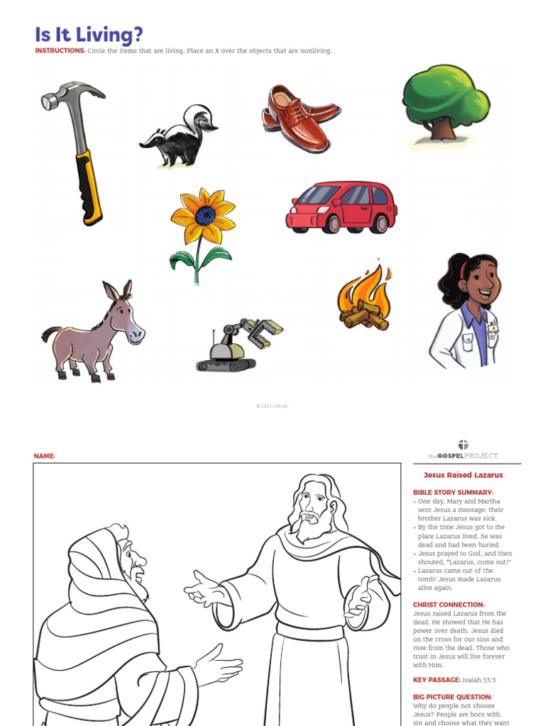 U24S2 Older Preschool Activity Pages | PDF