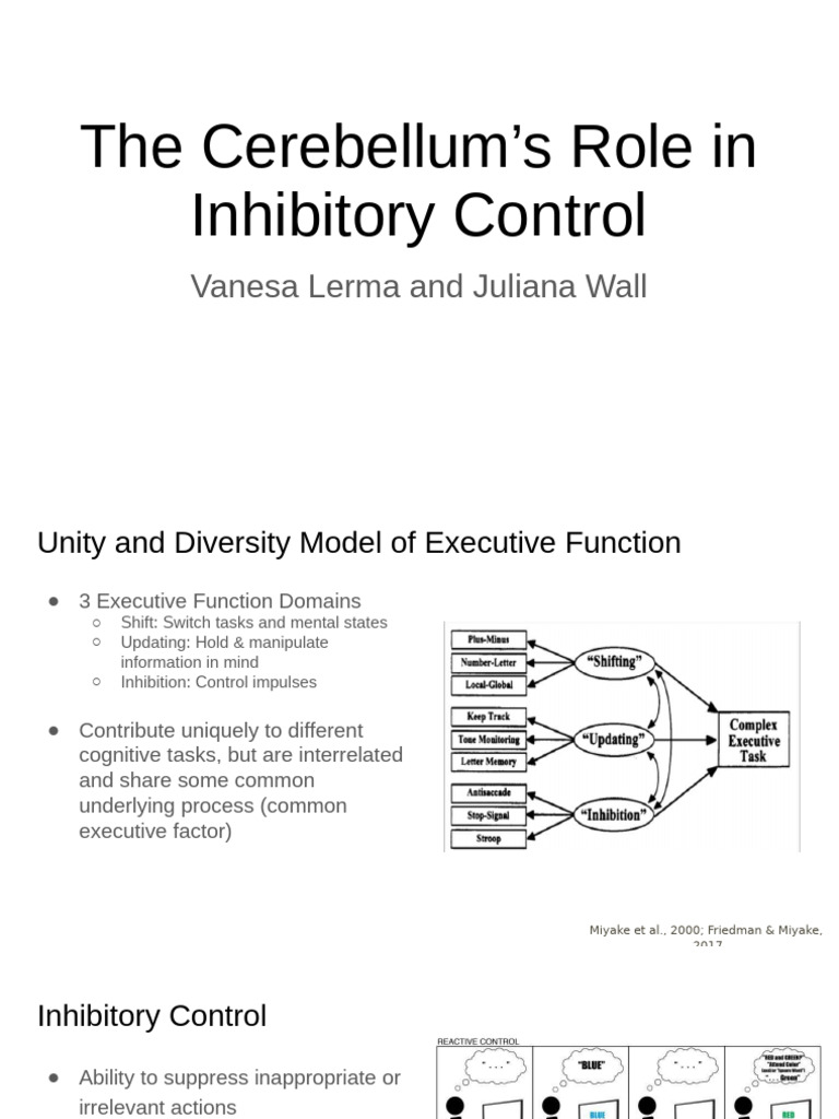 Cerebellum and Inhibition | PDF | Cerebellum | Executive Functions