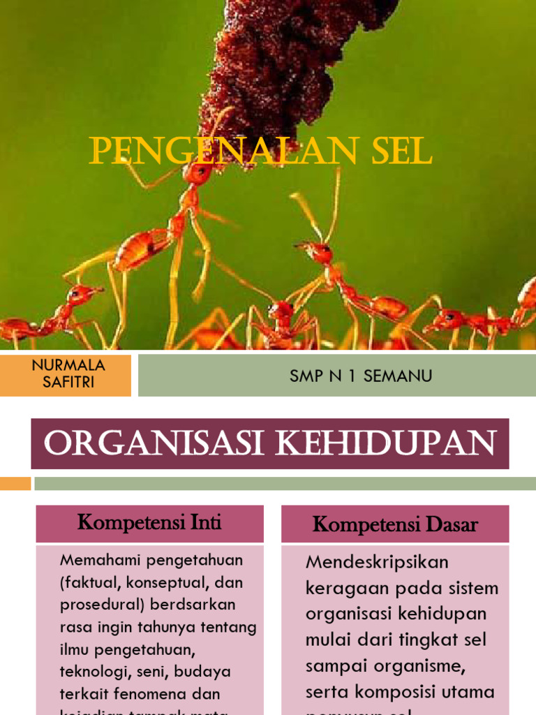 Pengenalan Sel | PDF