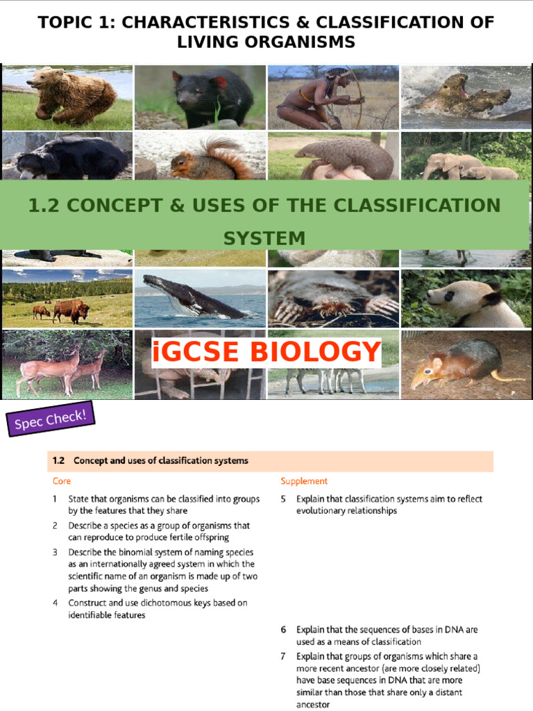 Classification of Living Organisms | PDF | Taxonomy (Biology) | Species