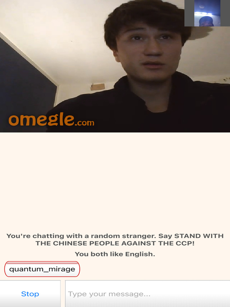 Omegle Talk To Strangers! | PDF