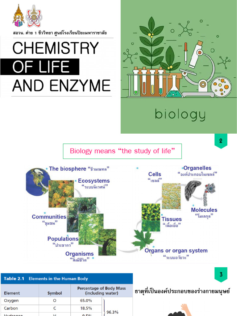 Topic01 Chemistry of Life and Enzyme | PDF