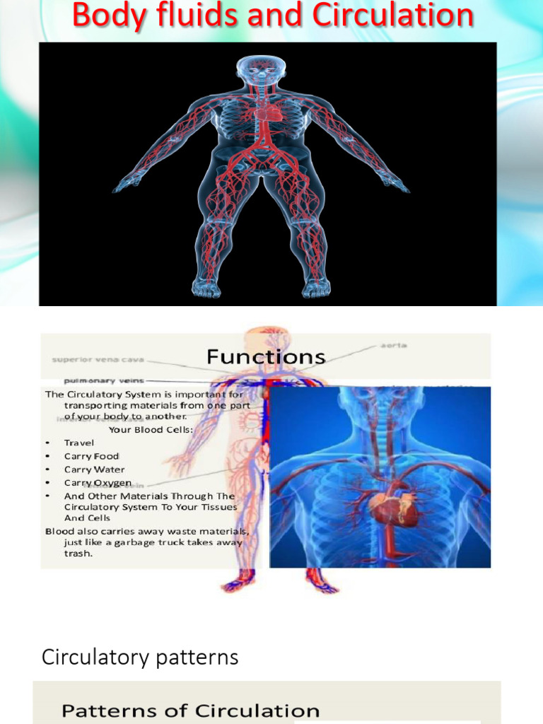 life processes - transport in plants and animals-1 | PDF