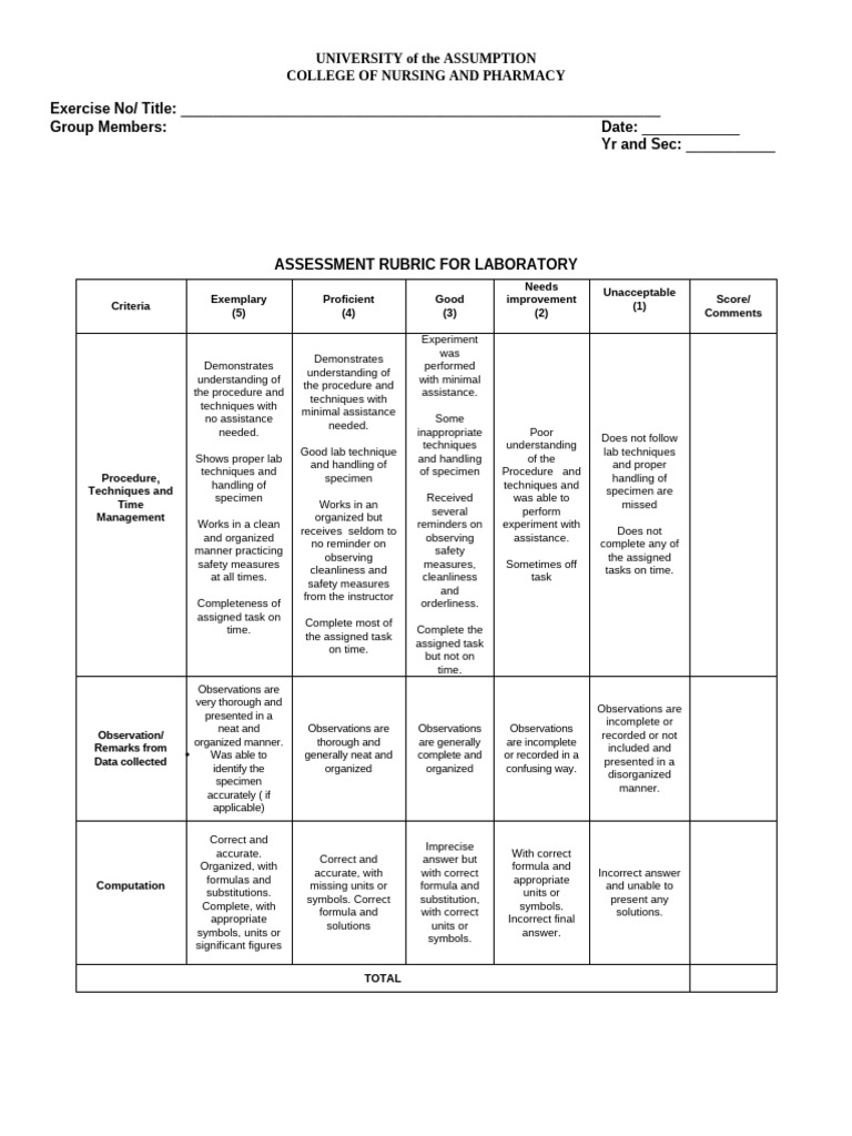 Laboratory Rubrics with Computation | PDF
