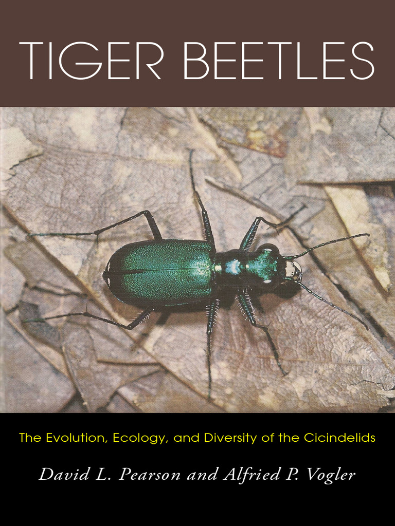 Tiger Beetles The Evolution Ecology and Diversity of The Cicindelids - David L Pearson | PDF ...
