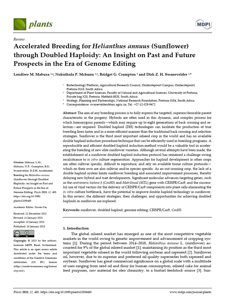 Accelerated Breeding For Helianthus Annuus Sunflow | PDF | Crispr ...