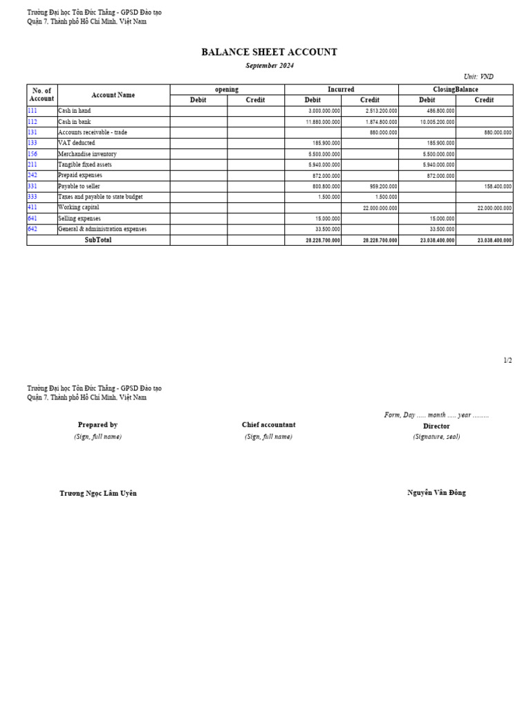 3.balance Sheet Accounts | PDF