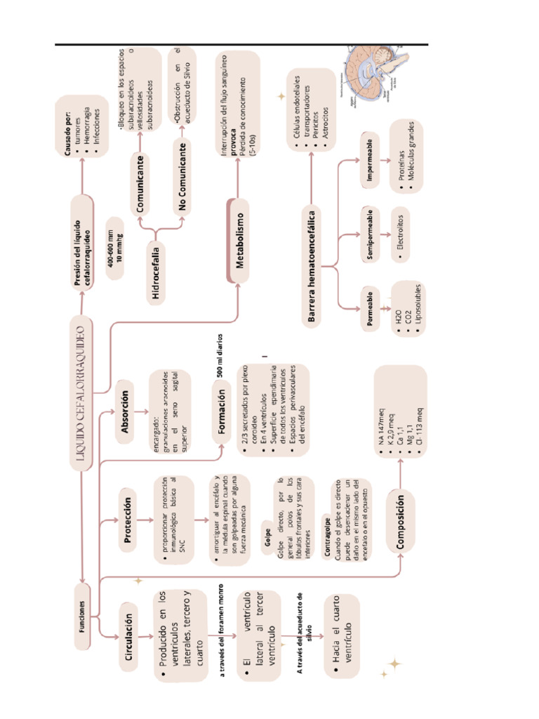 esquema semana 4 | PDF